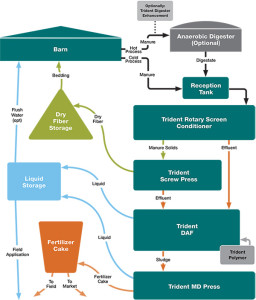 Trident NR.Flowchart.1701 - Trident TNZ