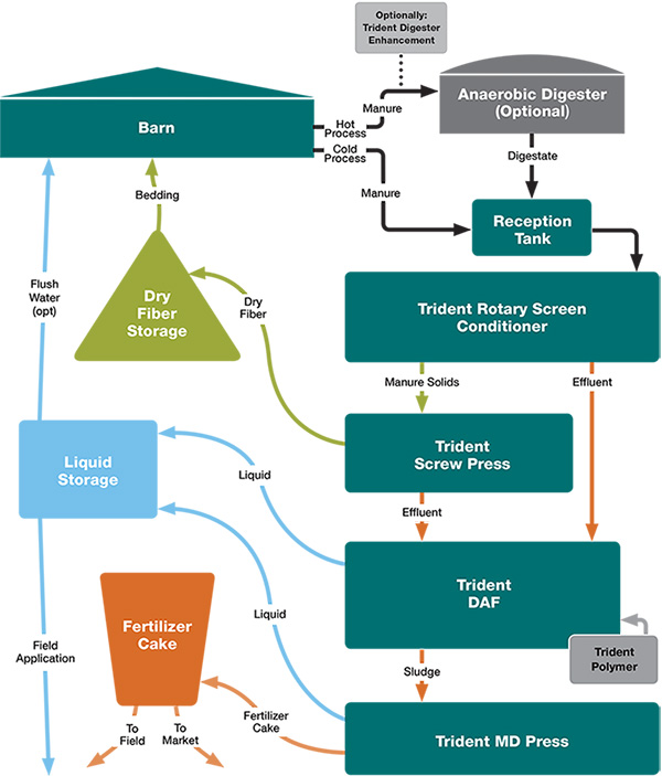 Trident NR.Flowchart.1701 - Trident TNZ